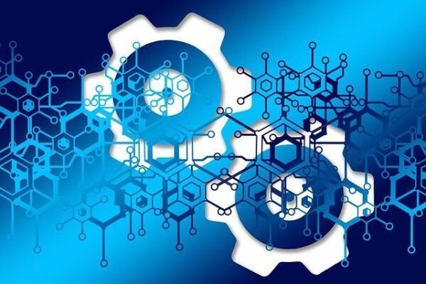 The Importance of a Robust Management System in Business - usaacemedia